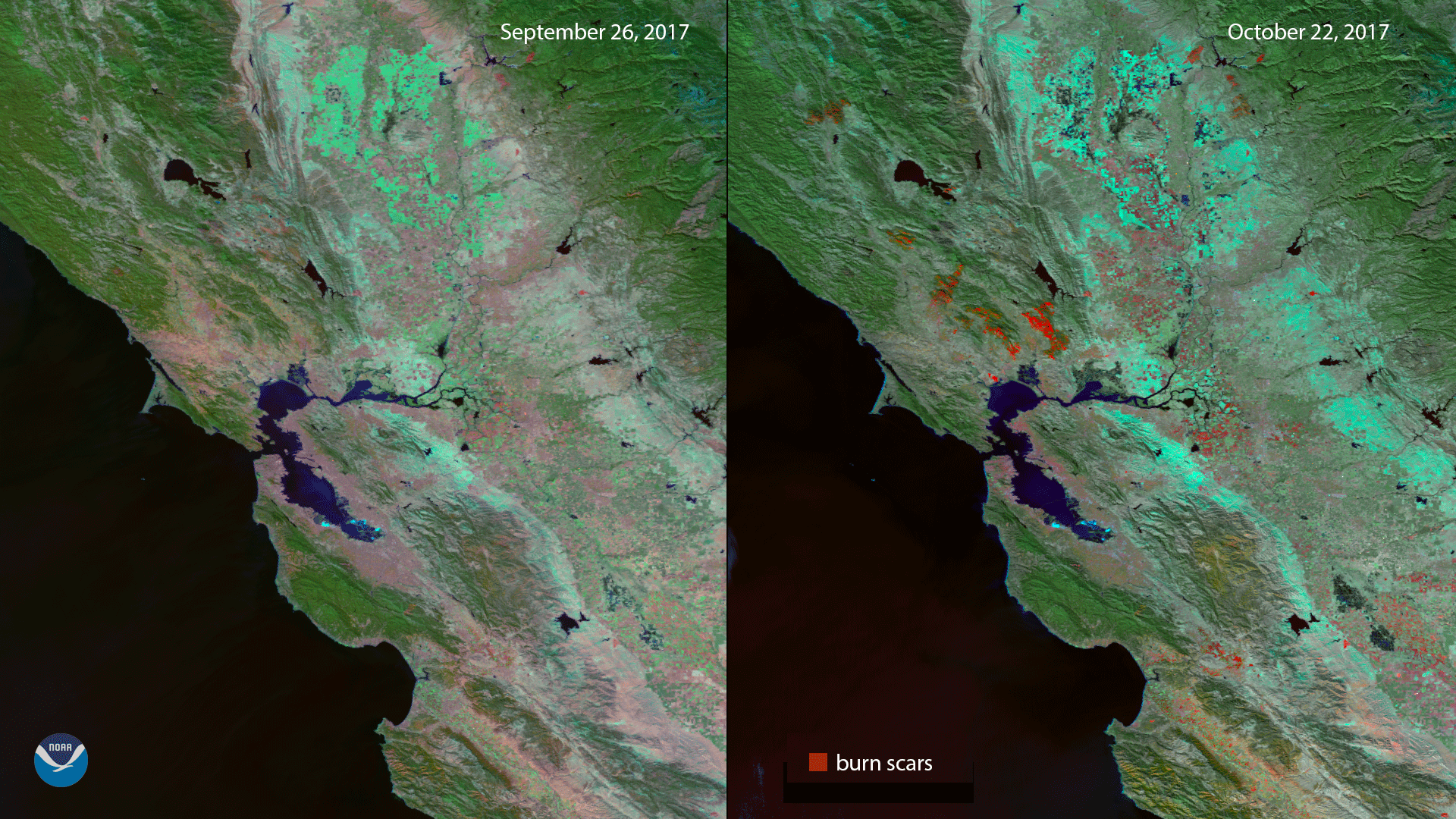 Wildfires Before And After
