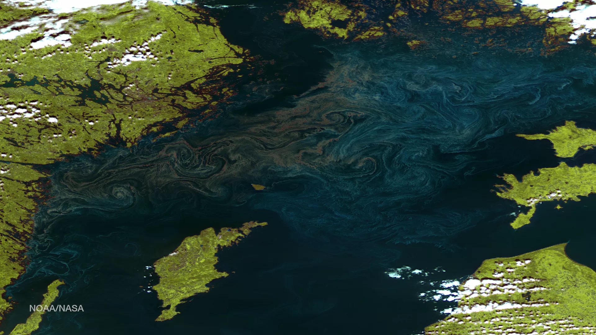 Plankton Blooms Swirl in the Baltic | NESDIS