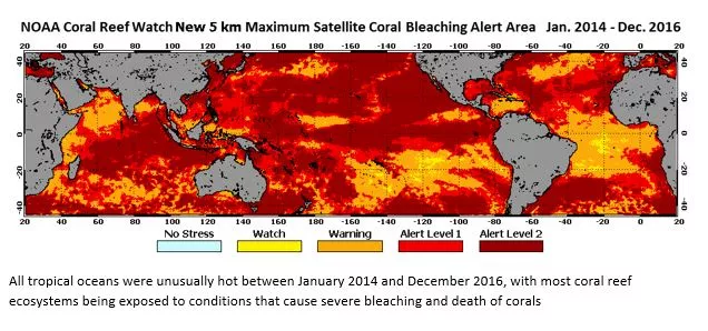 Ocean Temperatures Triggered Massive Coral Bleaching Event 2014-2017 ...