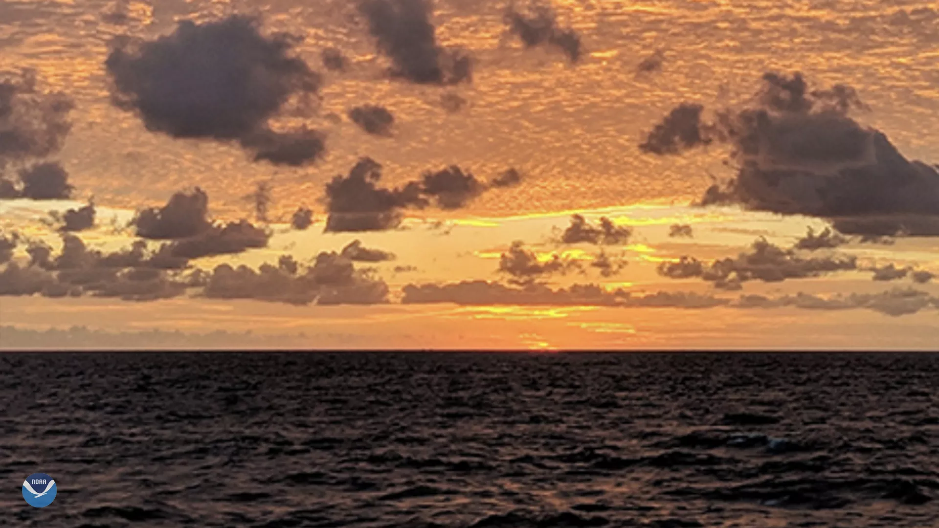 The Future of Ocean Acidification | NESDIS